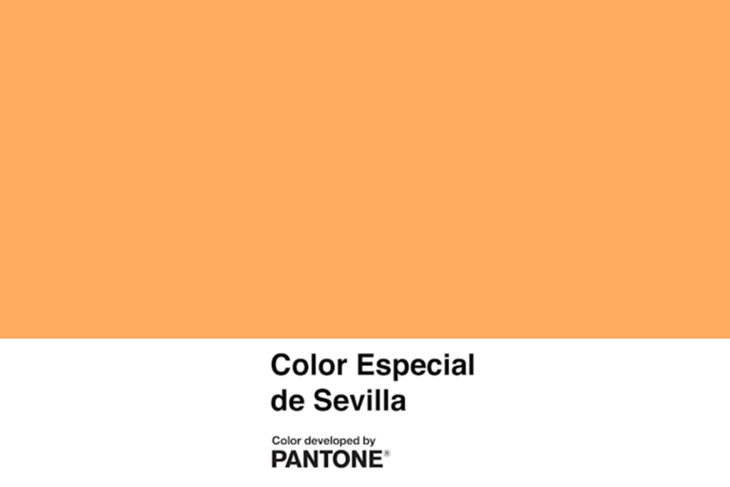 :: Estudio Gologo :: Comunicación, Publicidad, Diseño y Eventos.